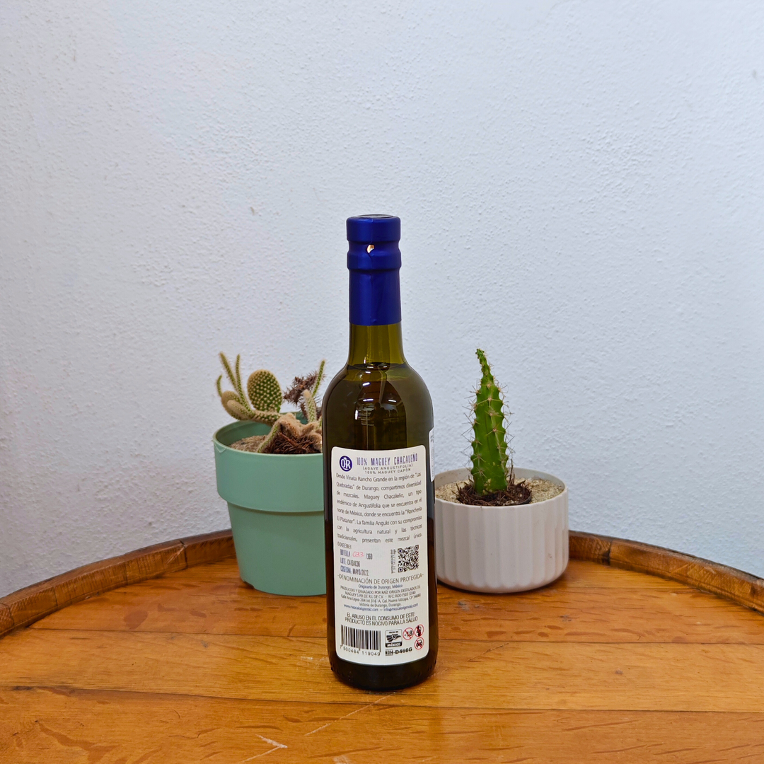 Agave Drinks Mx