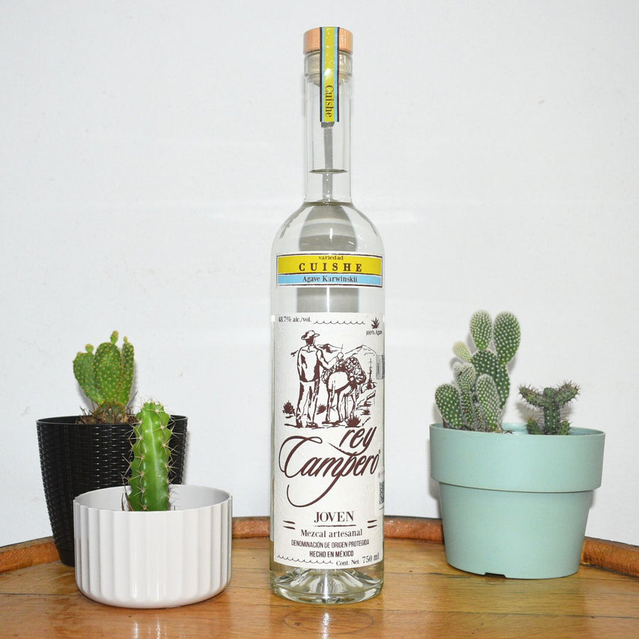 Rey Campero Cuishe Mezcal - 750 ml – Agave Drinks Mx