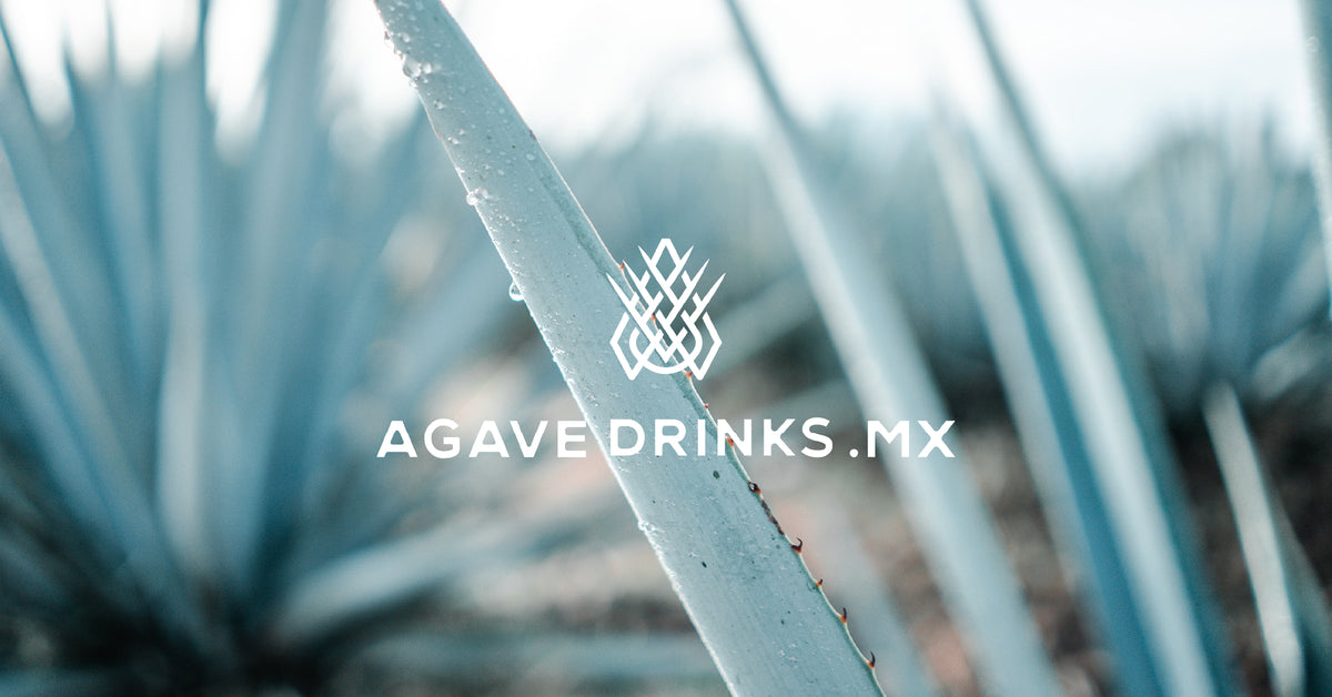 Agave Drinks Mx
