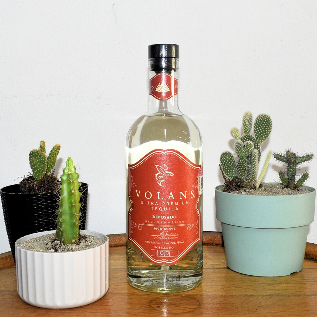 Volans Reposado Tequila - 750 ml – Agave Drinks Mx