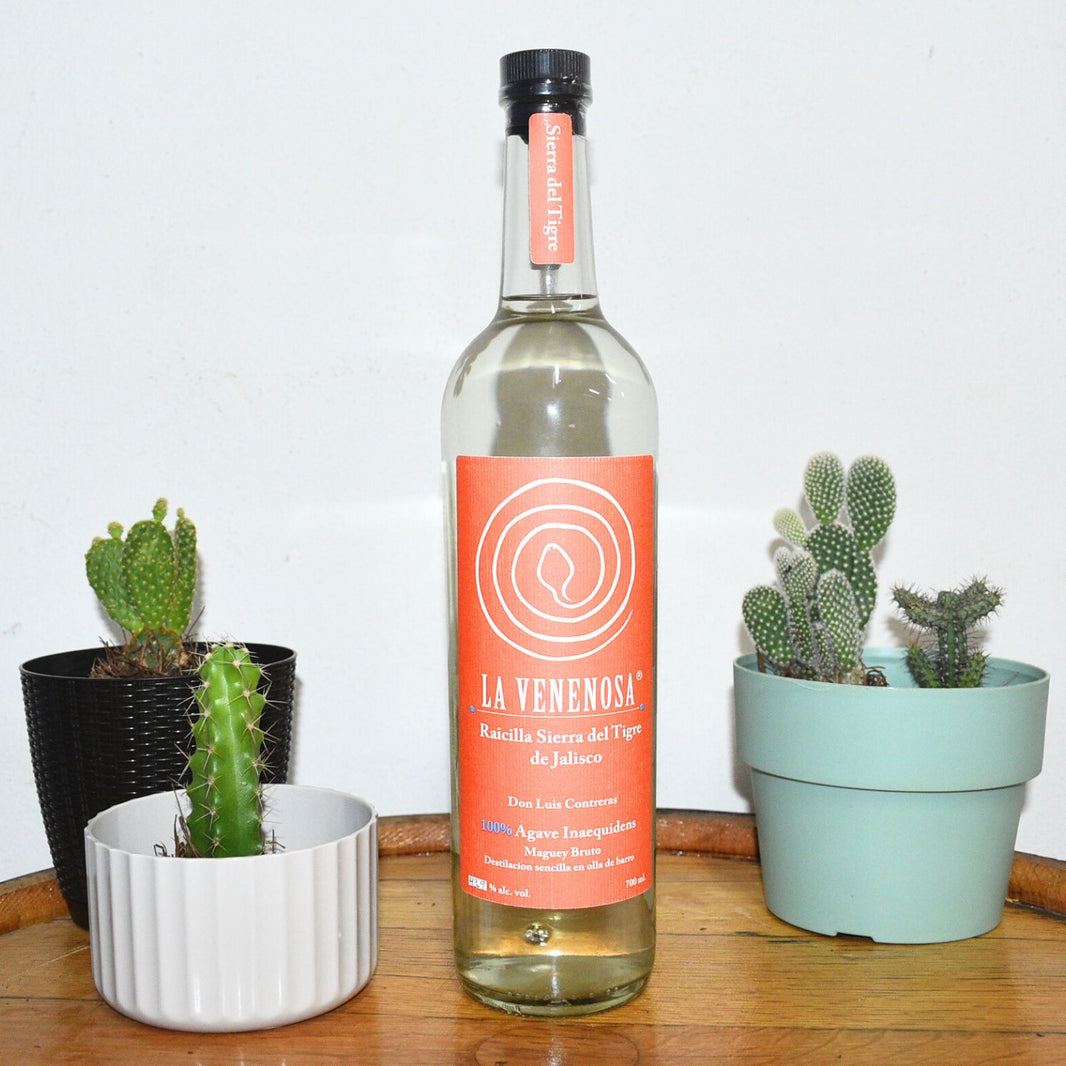 Raicilla La Venenosa – Agave Drinks Mx