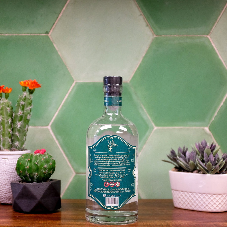 Agave Drinks Mx